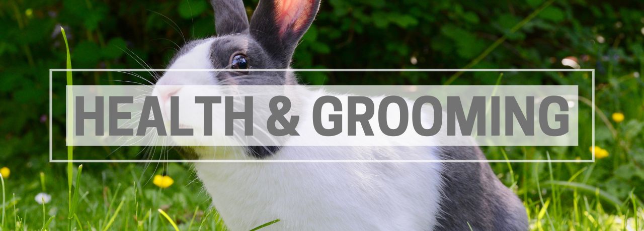 Rabbit gifts and rabbit accessories | Everything Bunny Rabbit ...