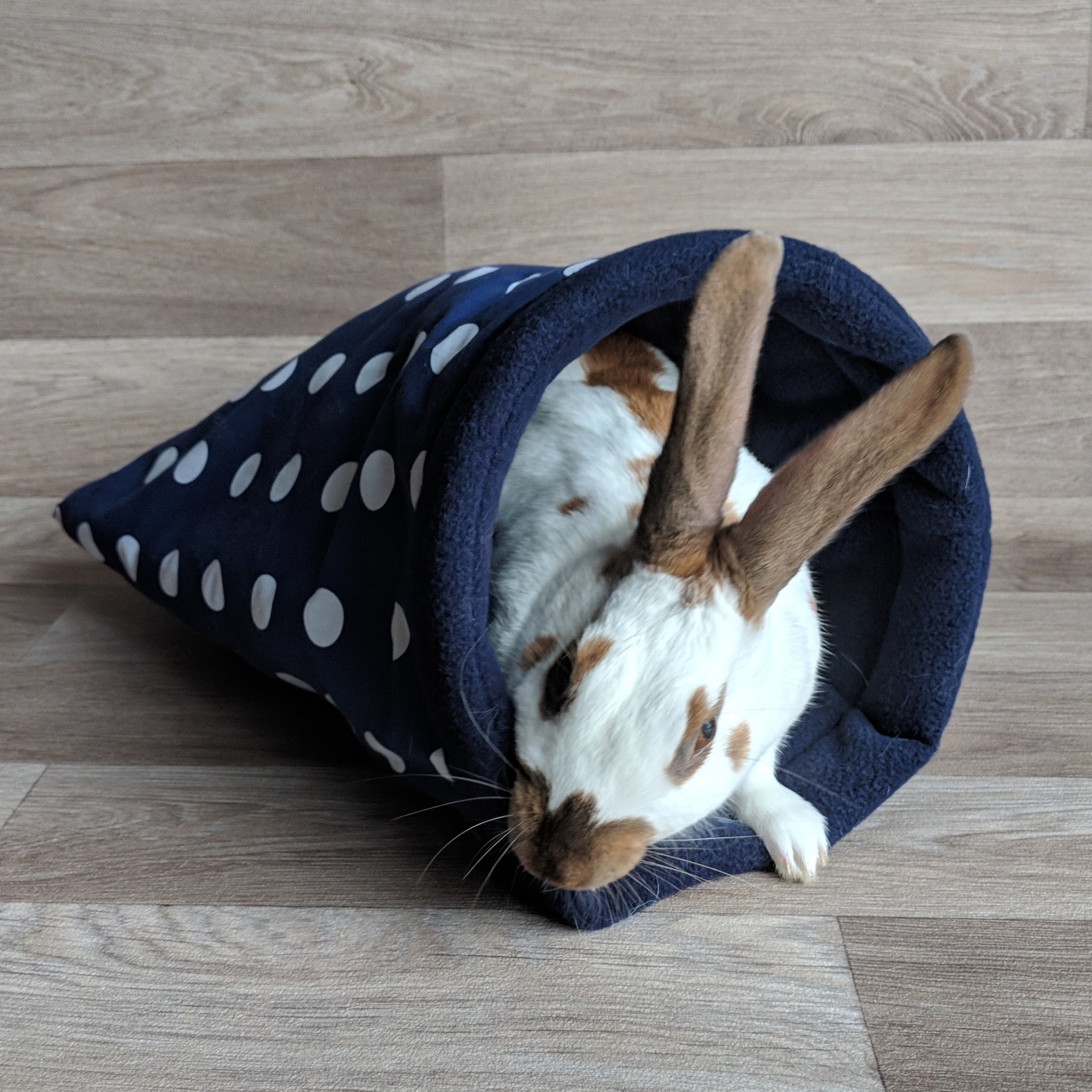 SHOP FOR YOUR RABBIT – Everything Bunny Rabbit