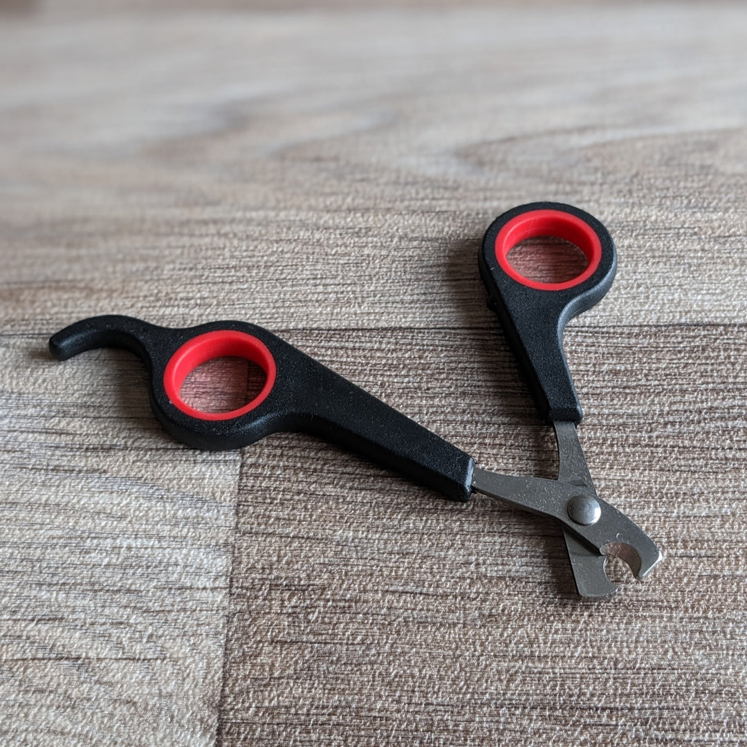 SHOP FOR YOUR RABBIT – Everything Bunny Rabbit